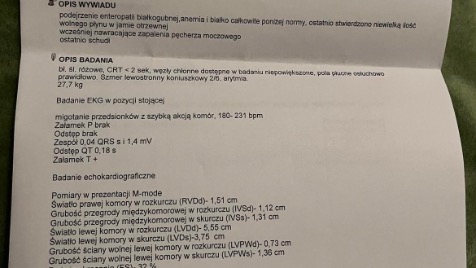 Zrzutka na Lekarstwa i Badania dla Jacka - Bogumiła Kaczała | Pomagam.pl