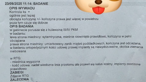 Zrzutka na Pomóż Mi Postawić Bacusia na Nog - Karolina Słodyczka | Pomagam.pl