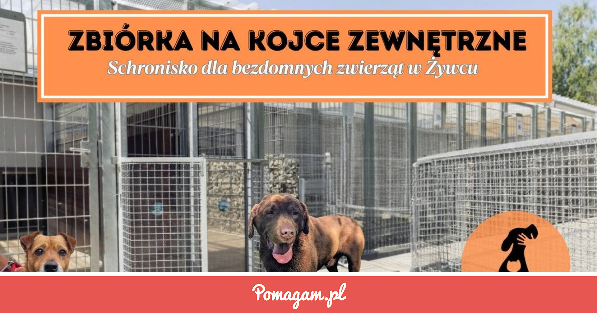 Zrzutka na Zbiórka na Nowe Kojce Zewnętrzne - Beata Waliczek | Pomagam.pl