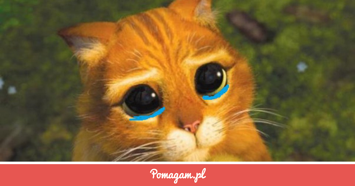 Zrzutka na Komputer dla Biednego Macieja - Aleksander Fredro | Pomagam.pl