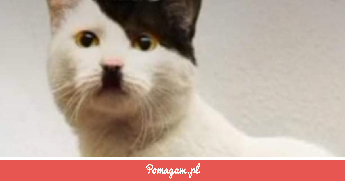 Zrzutka na Zbieram na kompa.pomoże Kto Może - Marcin Paruwa | Pomagam.pl