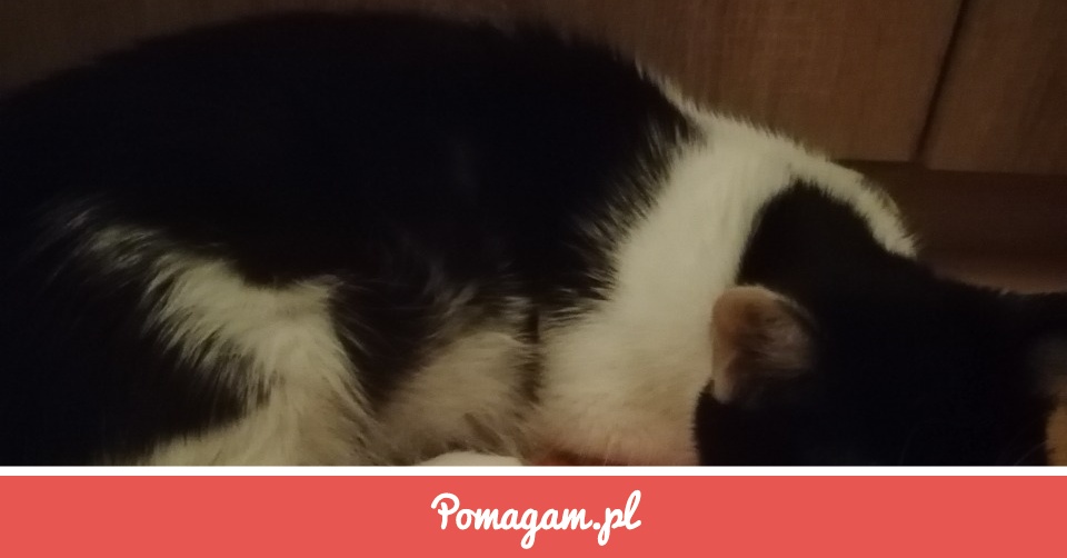 Zrzutka na Na Leczenie Balbinki... - Barbara Wróbel | Pomagam.pl