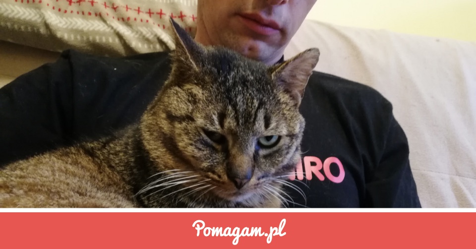 Zrzutka na Ktoś tu nie ma humoru - Jacek Barczak | Pomagam.pl