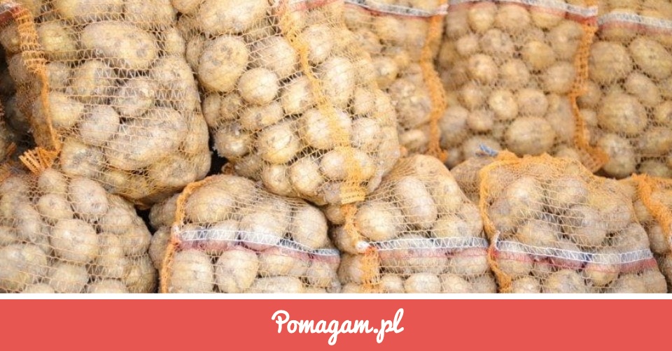 Zrzutka na Zbiefdtrr - Kamil Piotr | Pomagam.pl