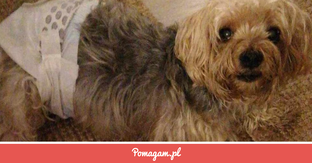 Zrzutka na Operacja Yokusia - Aneta Kołodziejczyk | Pomagam.pl