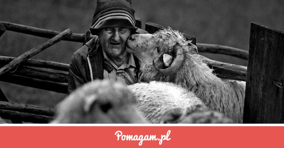 Zrzutka na Skaner do Negatywów - Andrzej Banas | Pomagam.pl