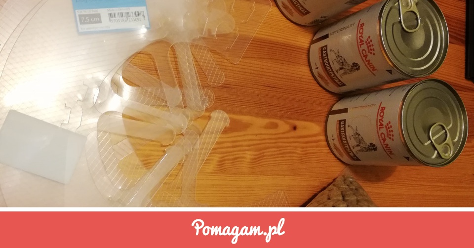 Zrzutka na Karma i kołnierze ze sklepiku - Jacek Barczak | Pomagam.pl