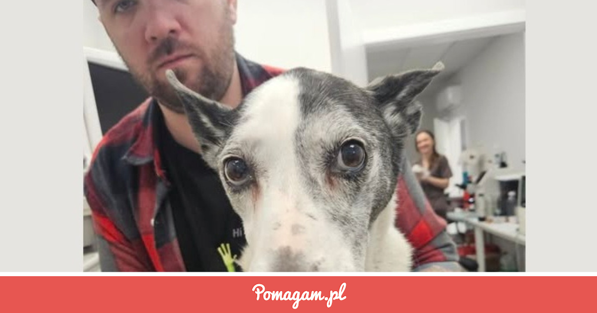 Zrzutka na Kora - Walka z Guzem Śledziony - Jakub Kochaniecki | Pomagam.pl