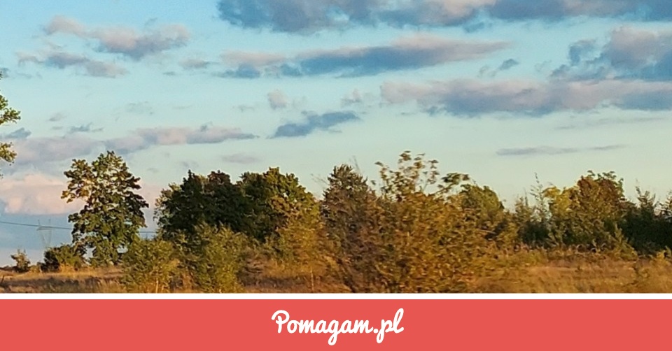 Zrzutka na Moja Zbiórka na Studia - Anna Kolwaska | Pomagam.pl