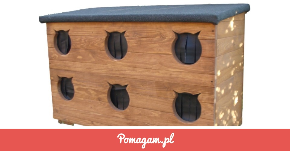 Zrzutka na Chata dla bezdomniaka - Joanna Blazejczak | Pomagam.pl