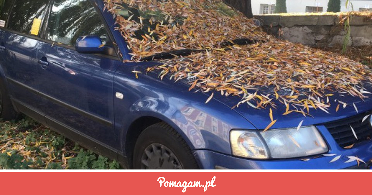 Zrzutka na Zbieram na Nowego Passata ! - Tomasz Tomasz | Pomagam.pl