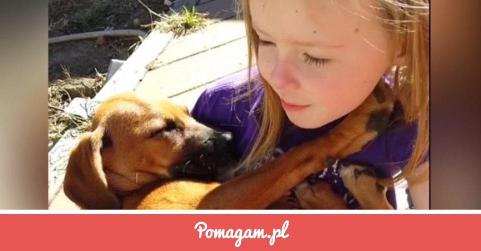 Zrzutka na Dla Mamy z Dziećmi i Pieskiem - Maria Warchoł | Pomagam.pl