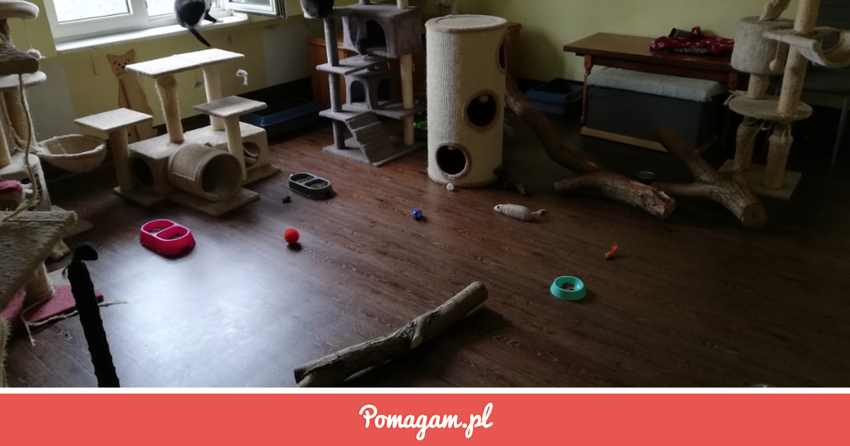 Zrzutka na 2 Dni Ogrzewania Kociarni E06 - Jacek Barczak | Pomagam.pl