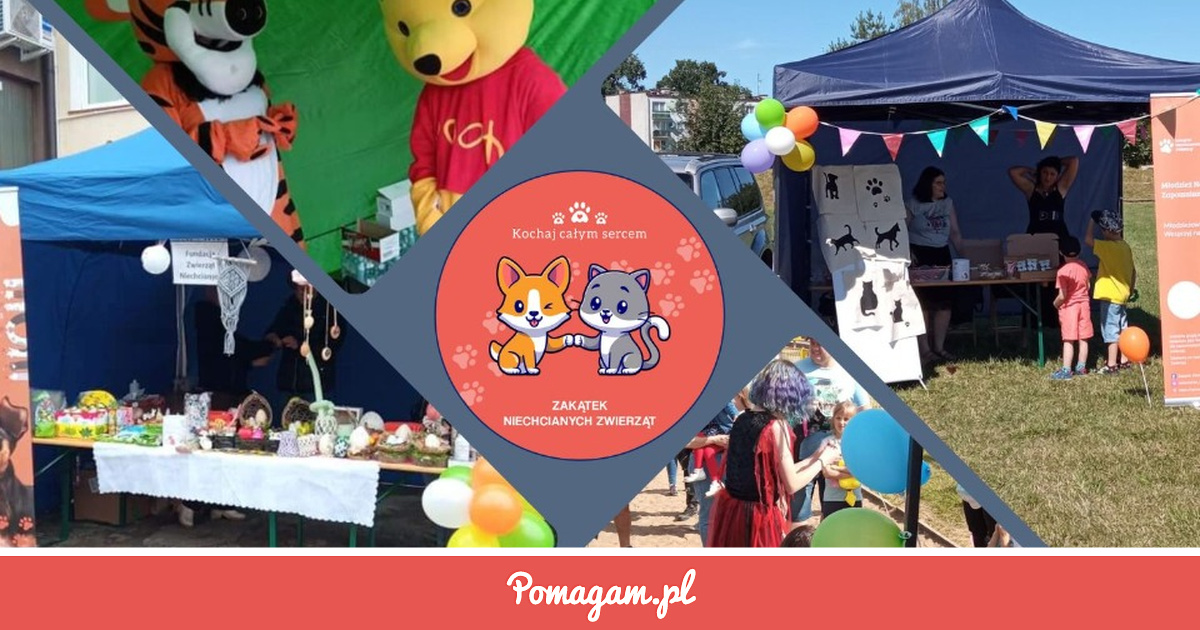 Zrzutka na Zakątkowa Trasa Ze Stoiskiem - Bartek Stankiewicz | Pomagam.pl