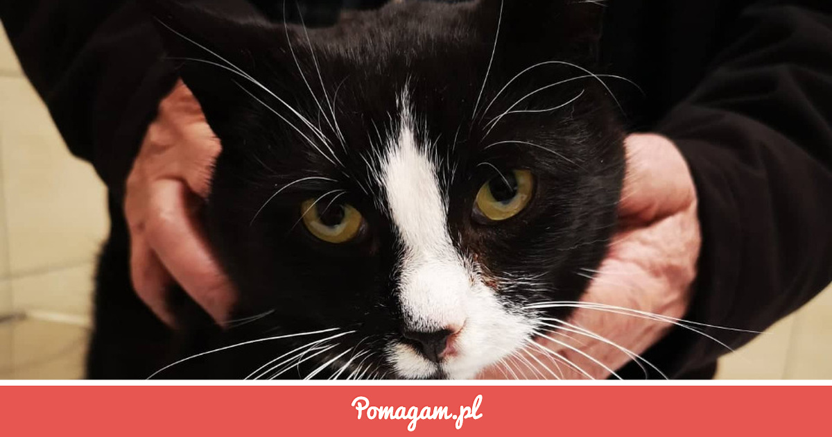 Zrzutka na Grzesiu z Ropniem - Jacek Barczak | Pomagam.pl