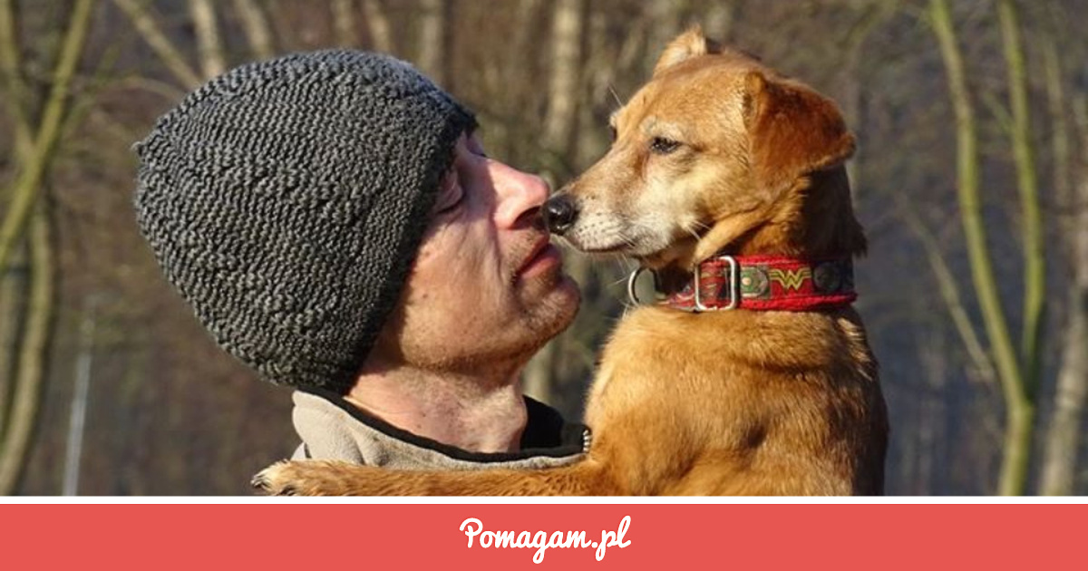 Zrzutka na Dramatyczna Sytuacja Psiaków - Jacek Barczak | Pomagam.pl