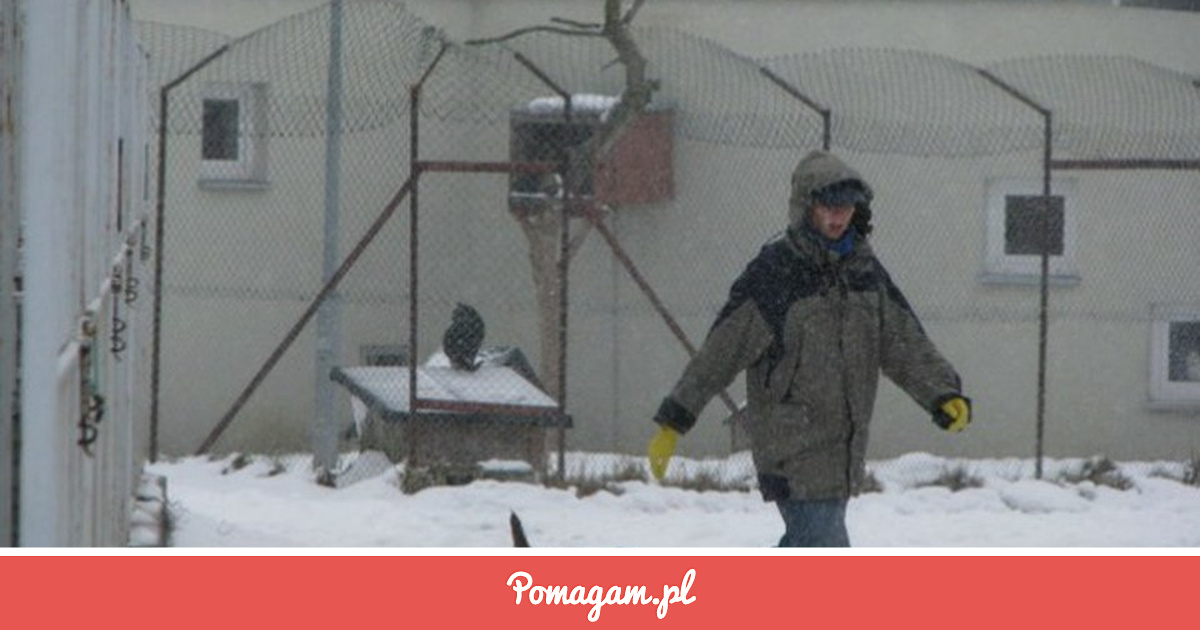 Zrzutka na Schronisko dla Zwierząt Stargard - Pat Ka | Pomagam.pl