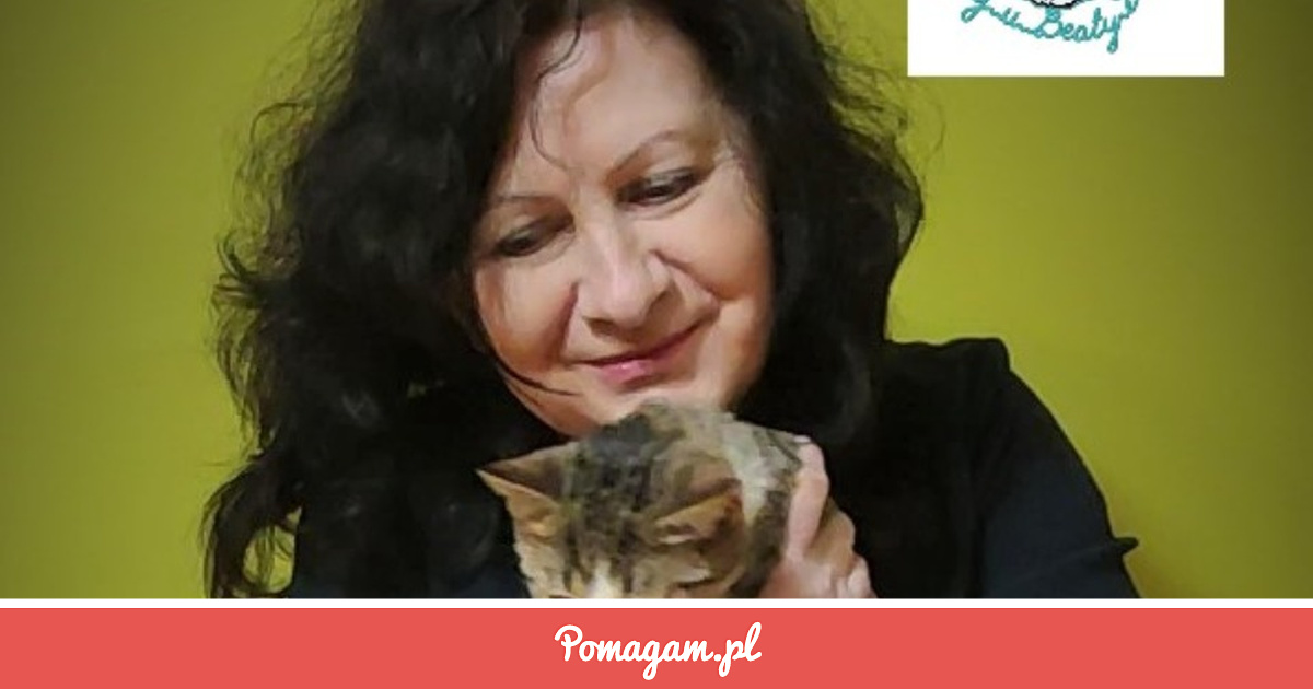 Zrzutka na Na Specjalne Kocie Potrzeby - Beata Wolniczak | Pomagam.pl