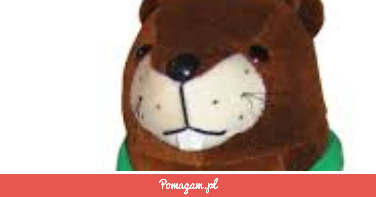 Zrzutka na Miś dla Klaudi - Bober Bober | Pomagam.pl