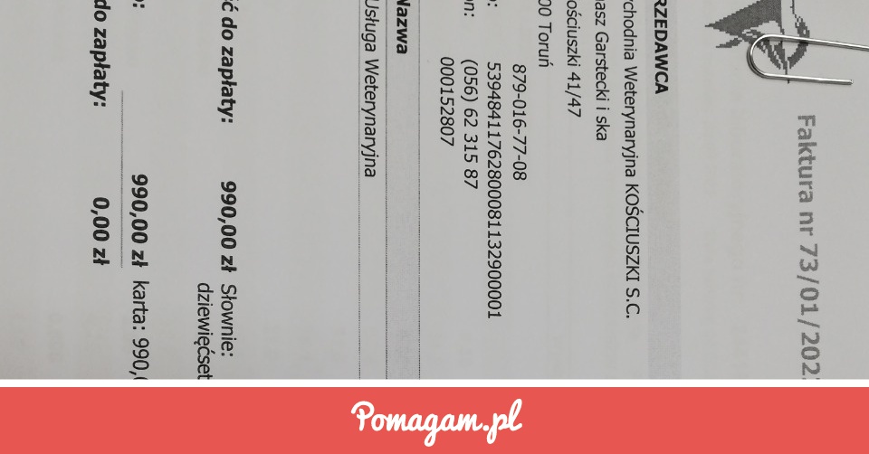 Zrzutka na Borysek, któremu ucieka życie - Jacek Barczak | Pomagam.pl