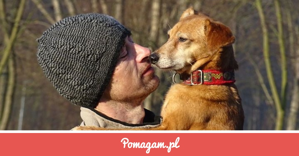 Zrzutka na Dramatyczna sytuacja psiaków - Jacek Barczak | Pomagam.pl