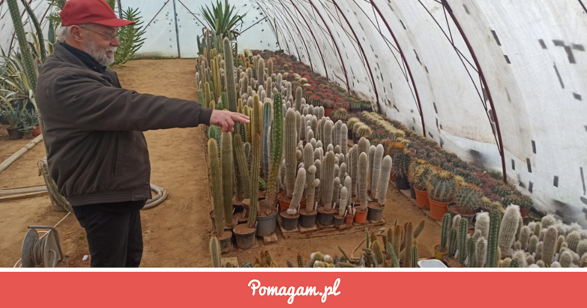 Zrzutka na Uratujmy Kaktusy - Kolejna Zima - Mieczysław Burghardt | Pomagam.pl