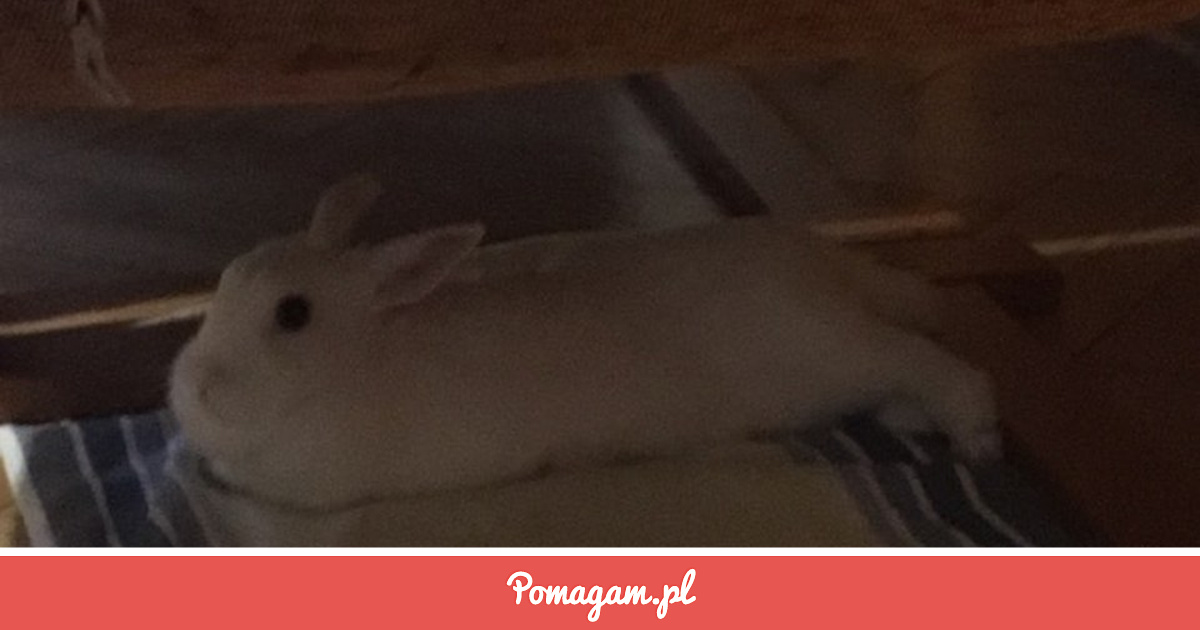 Zrzutka na Wykupienie Mieszkania Pilne - Darek Dariusz | Pomagam.pl