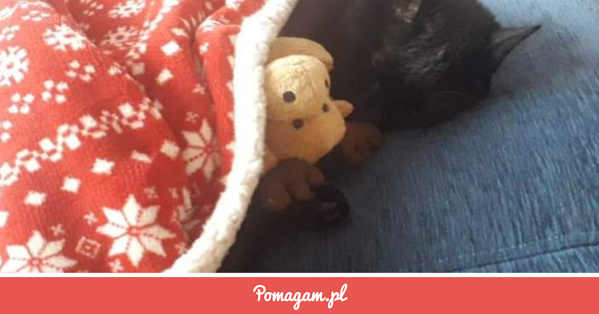 Zrzutka na Zbieram na Marzenie dla Mamy - Aleksandra Kielańska | Pomagam.pl