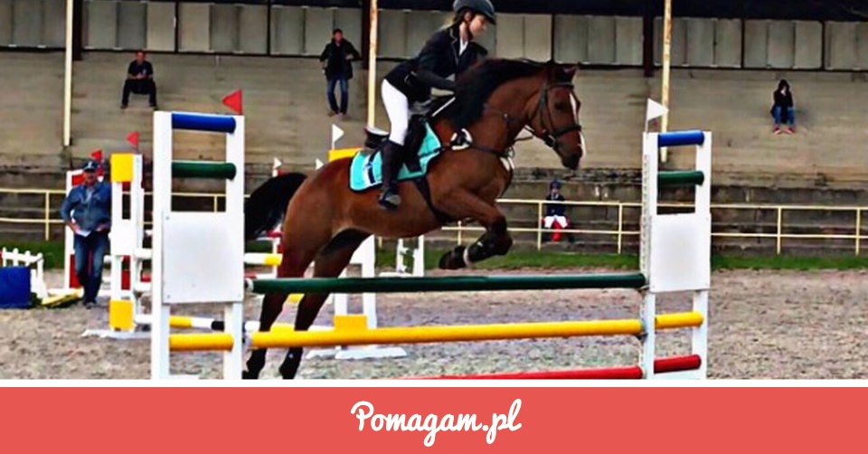 Zrzutka na Pobyt mojego konia w klinice - Oliwia Chlasta | Pomagam.pl