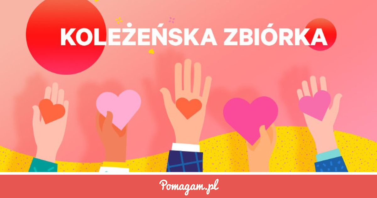 Zrzutka na Koleżeńska Zbiórka 20 - Gazeta.pl | Pomagam.pl