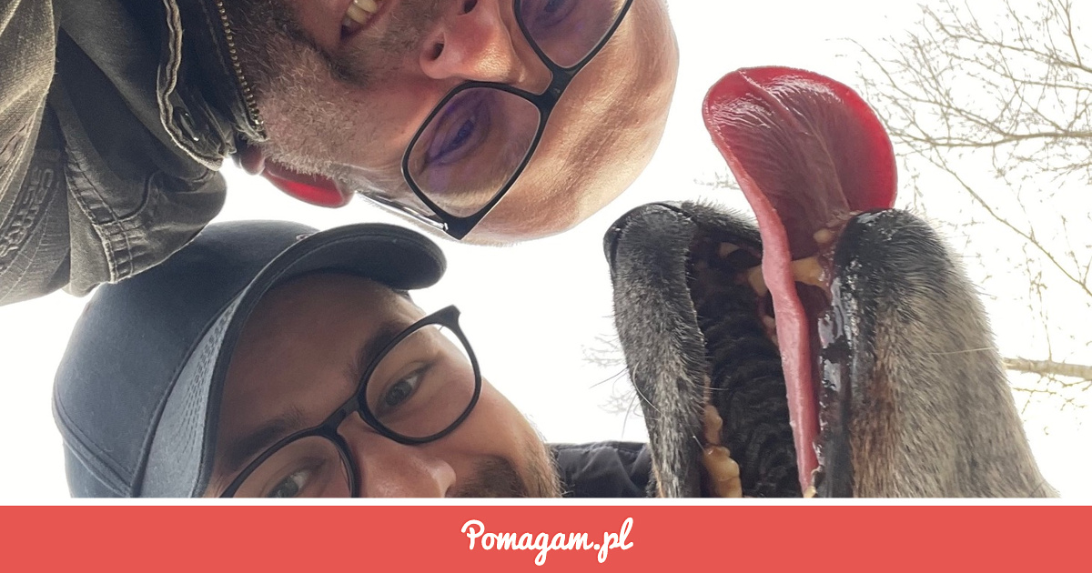 Zrzutka na Święty Spokój w Trakcie Leczenia - Łukasz i Jakub Cz i w | Pomagam.pl