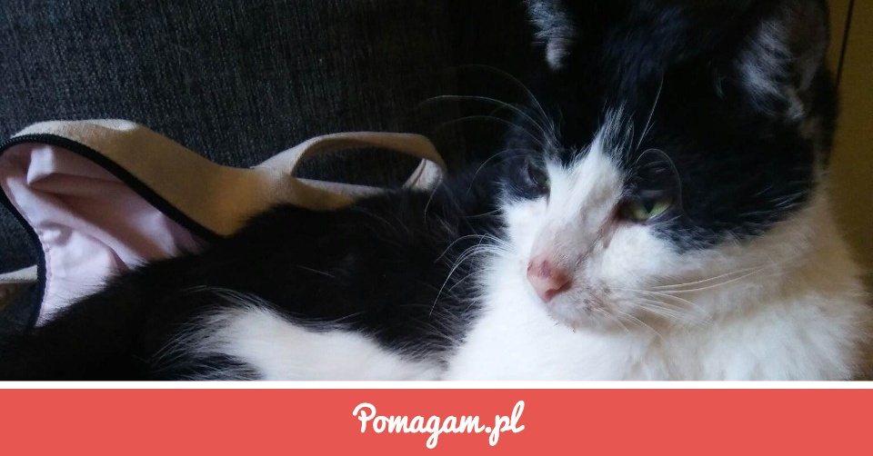 Zrzutka na Uratujmy Hugo - Joanna Jankiewicz | Pomagam.pl