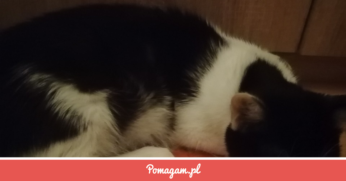 Zrzutka na Na Leczenie Balbinki... - Barbara Wróbel | Pomagam.pl