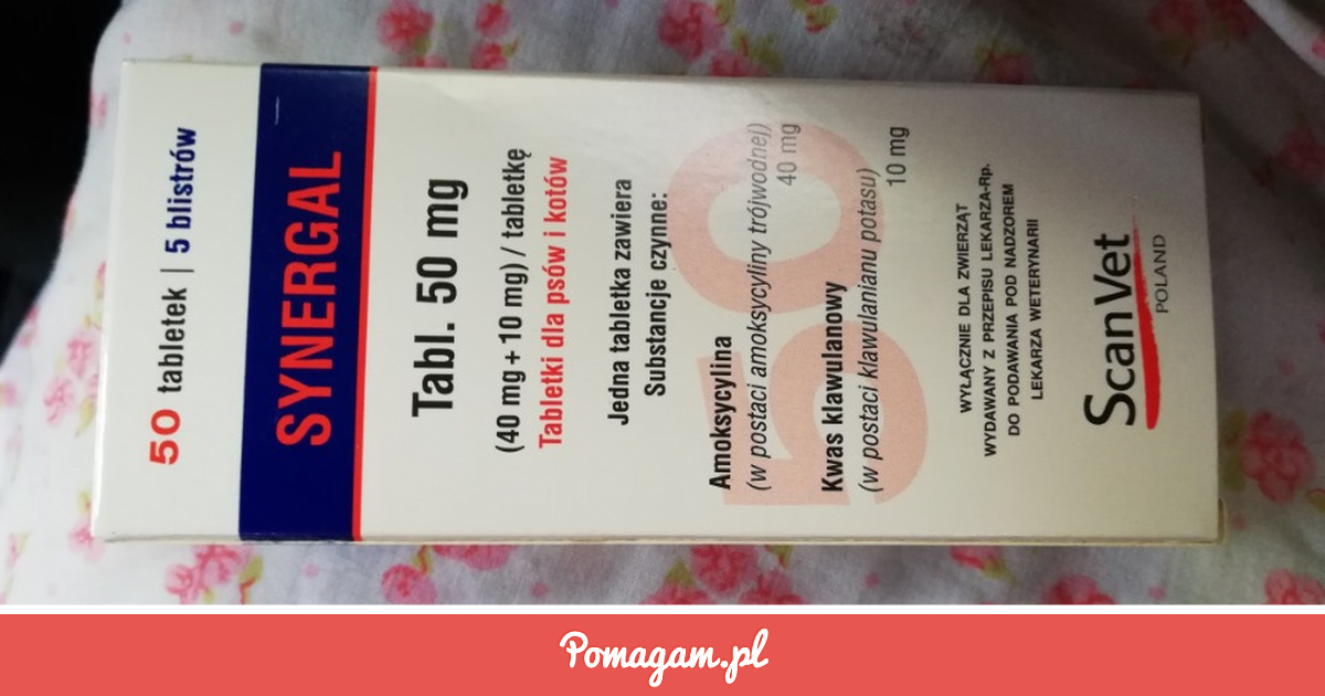 Zrzutka na Pomoc dla Pani Martyny - Jacek Barczak | Pomagam.pl