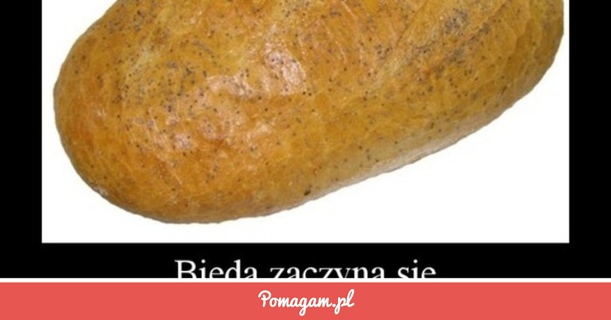 Zrzutka na Na Jedzenie dla Bezdomnego Litwi - Ania Grzalka | Pomagam.pl