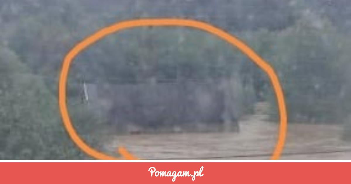 Zrzutka na Krosnowice - Agnieszka Gutowska | Pomagam.pl