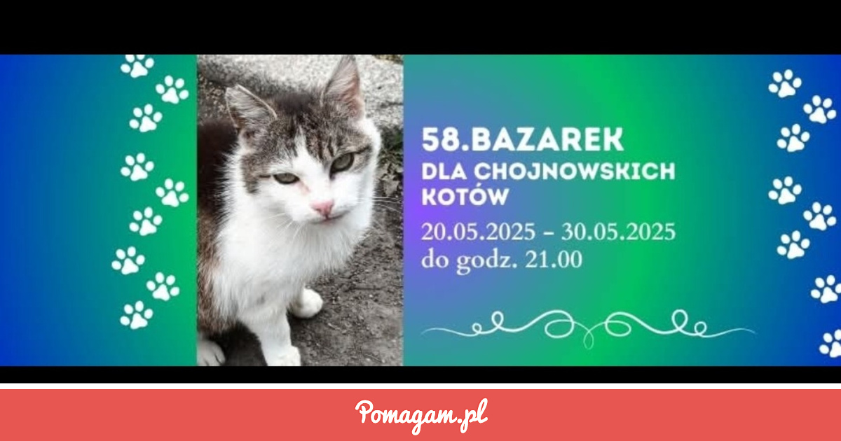 Zrzutka na Bazarek 58 - Chojnowskie Koty | Pomagam.pl