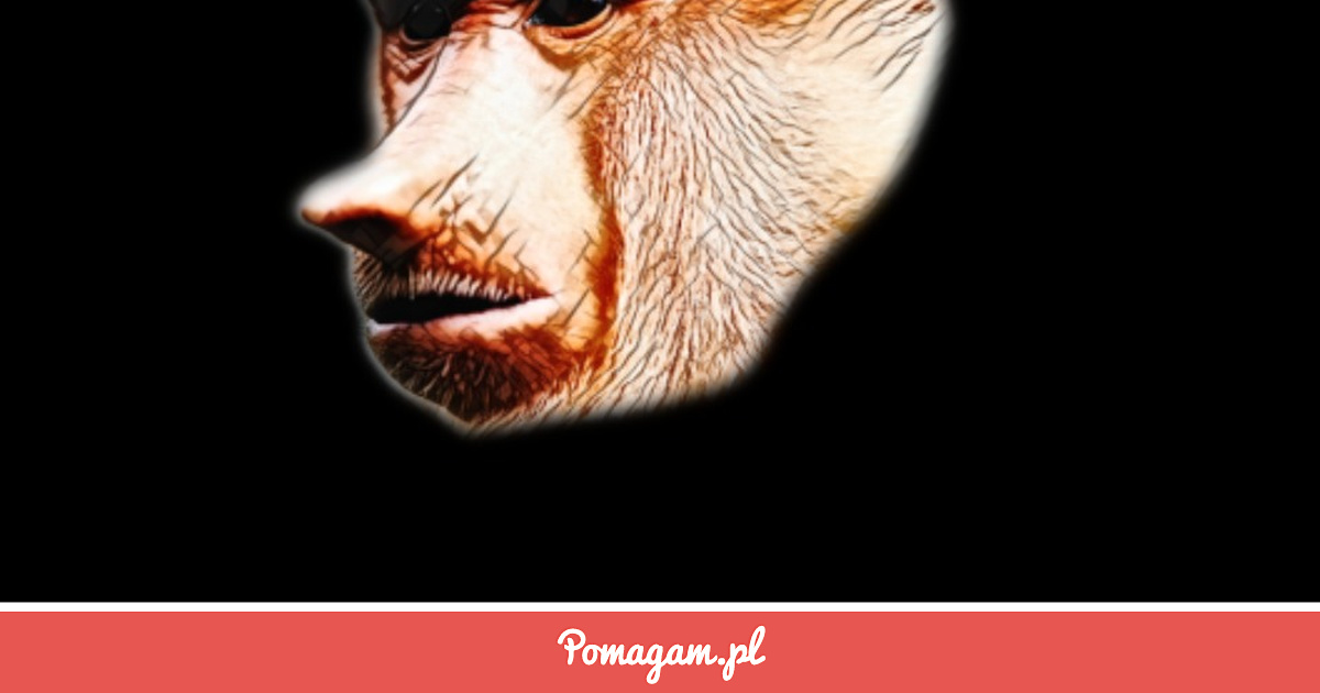 Zrzutka na Mam Horom Curke - Grazyna Kowadlo | Pomagam.pl