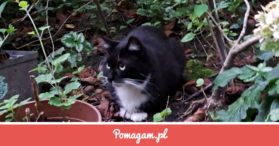 Zrzutka na Dla Działkowych na Jedzenie - Katarzyna Targosz | Pomagam.pl