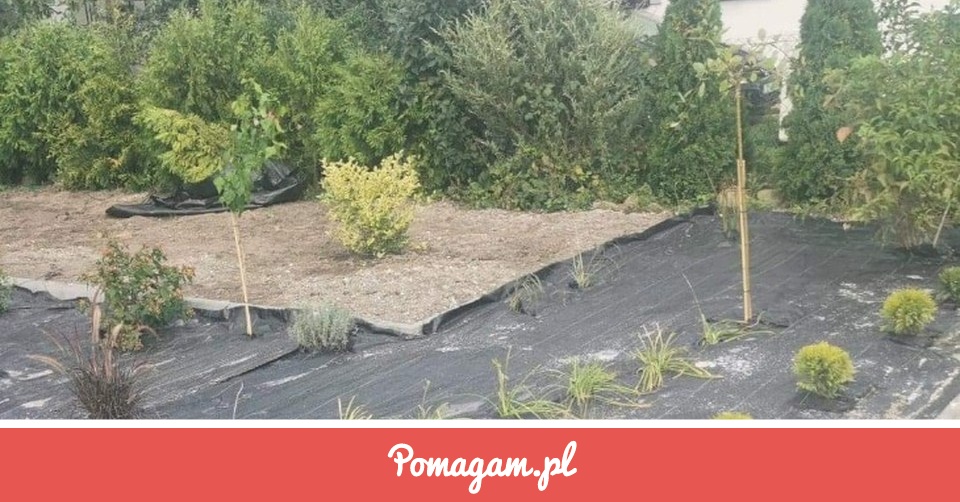 Zrzutka na Zbieram na ogród marzeń Mamy - Adrian 123456 | Pomagam.pl