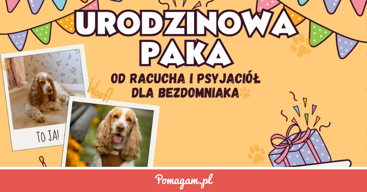 Zrzutka na Urodzinowa Paka dla Bezdomniaka - Karolina Dziuba | Pomagam.pl