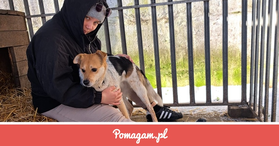 Zrzutka na Pomagamy dzięki Wam .. - Nikola Andrysiak | Pomagam.pl