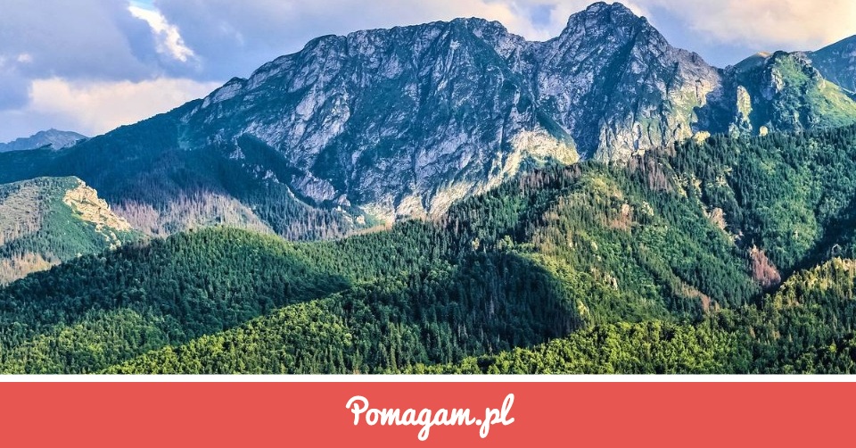 Zrzutka na Na marzenia dla przyjaciela - Dawid Dawid | Pomagam.pl