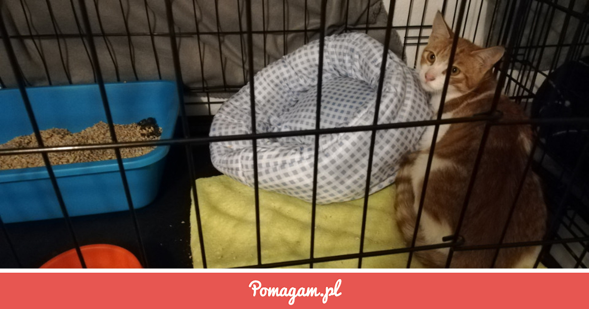 Zrzutka na Badanie Sky - Jacek Barczak | Pomagam.pl