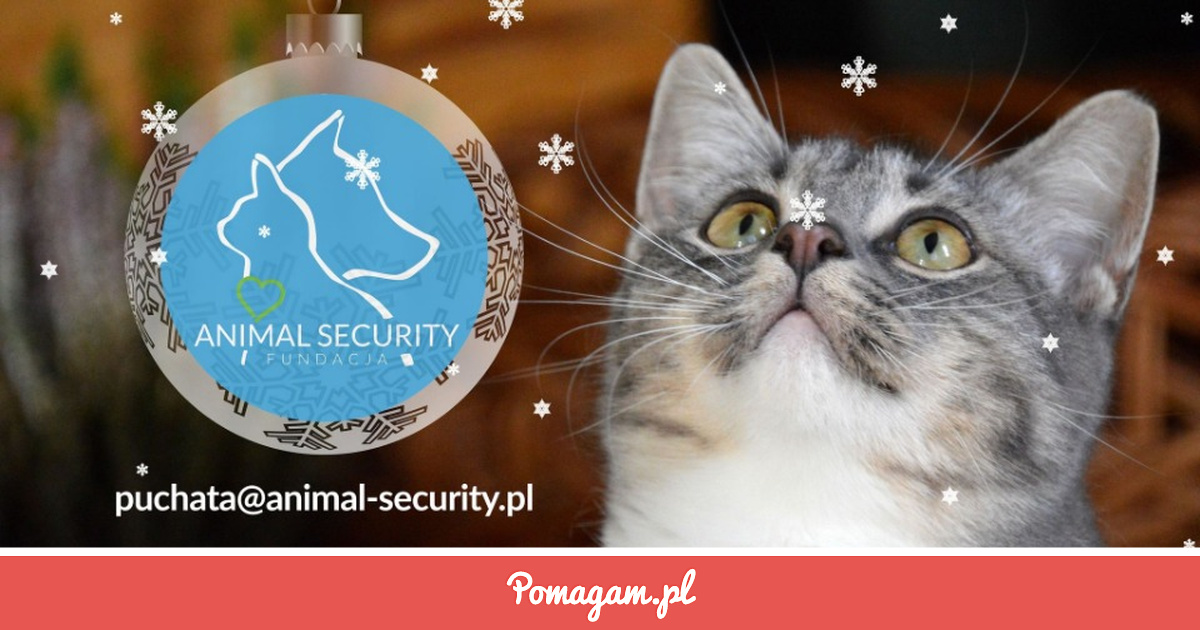 Zrzutka na Puchata Gwiazdka - FUNDACJA OCHRONY ZWIERZĄT ANIMAL SECURITY ...