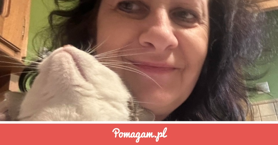 Zrzutka na Na przetrwanie sierpnia - FUNDACJA KOTY U BEATY | Pomagam.pl