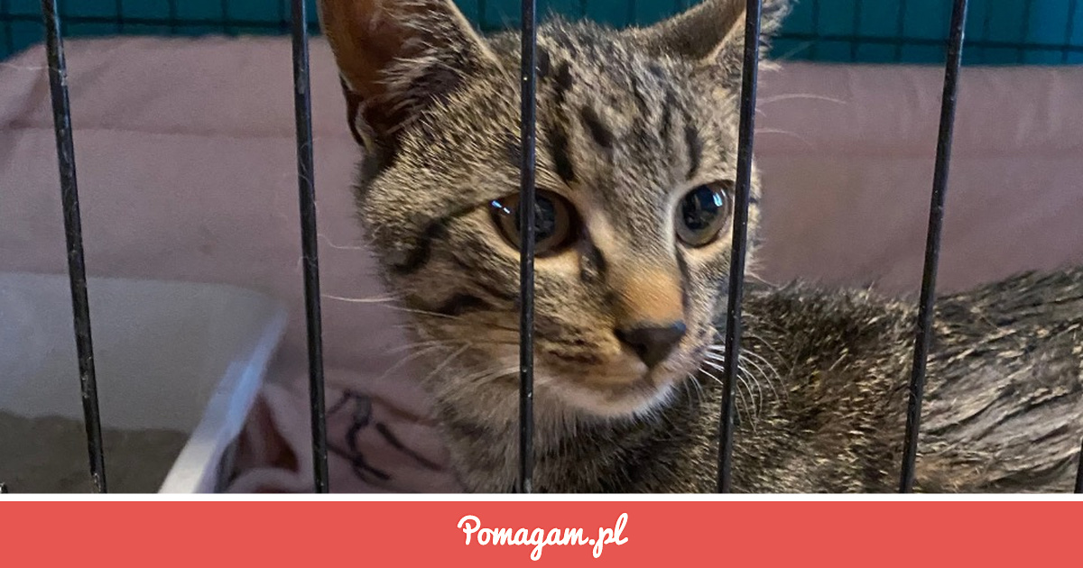 Zrzutka na Faktura styczeń-marzec - Renata Rudyk | Pomagam.pl