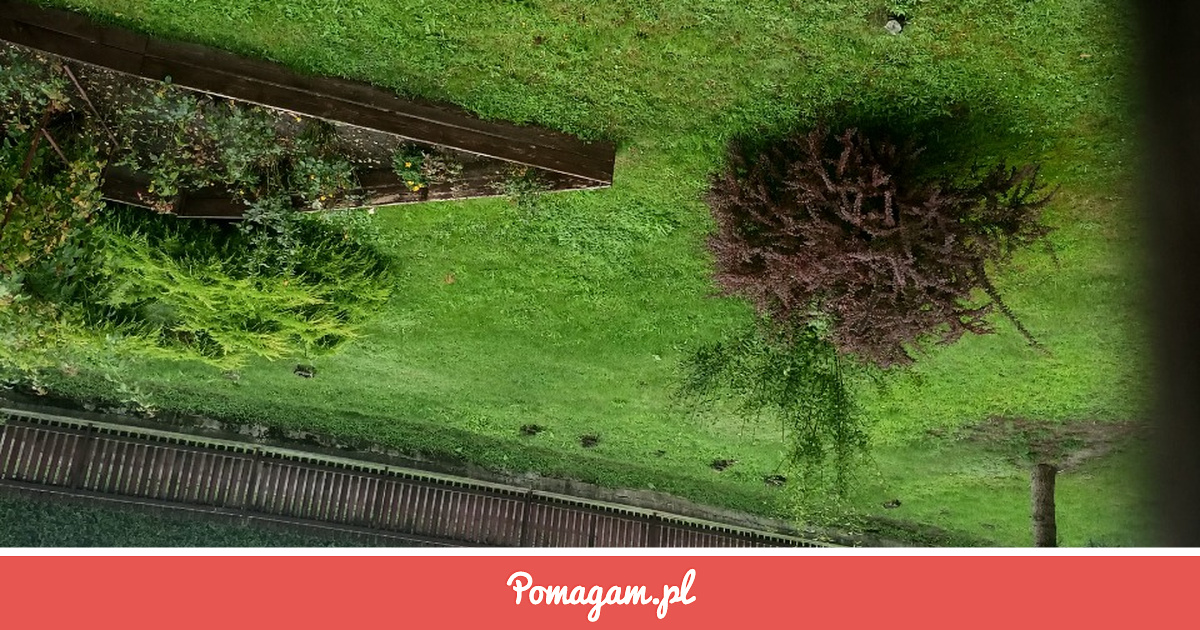 Zrzutka na Na Życie bez Toksyka - Barbara Sikora | Pomagam.pl