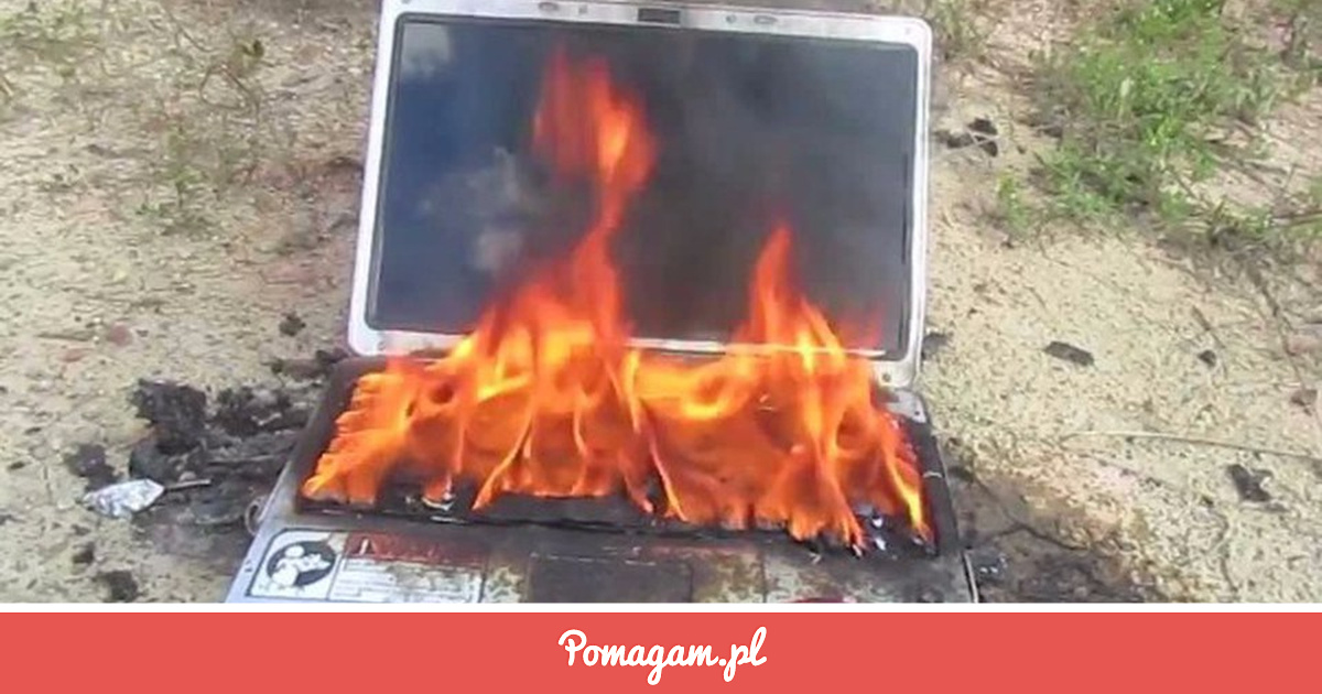 Zrzutka na Zbieram na Lapka bo Chce - Adrian Jakiśtam | Pomagam.pl