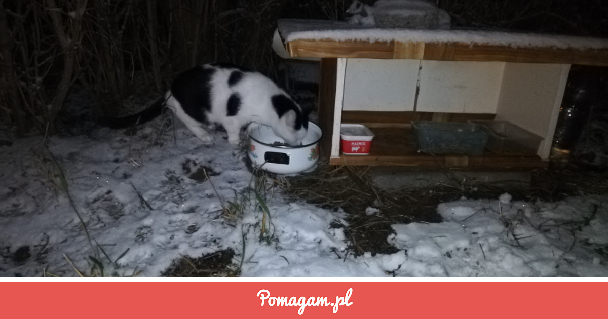 Zrzutka na Dzięki Wam Się Udało, Dziękuję - Jacek Barczak | Pomagam.pl